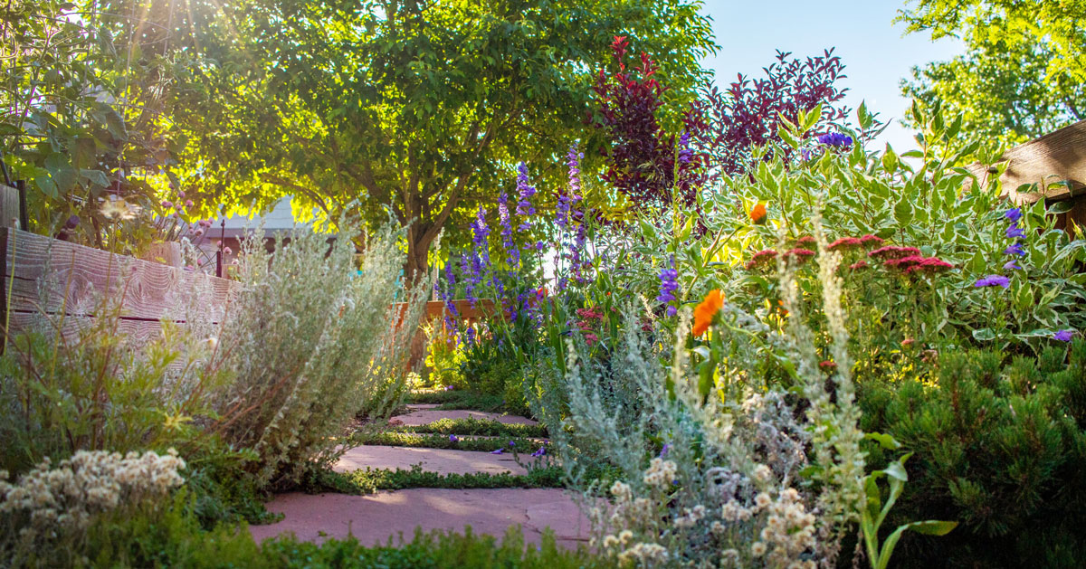 Sustainable Landscaping – Xeriscaping & Native Plants - Welcome